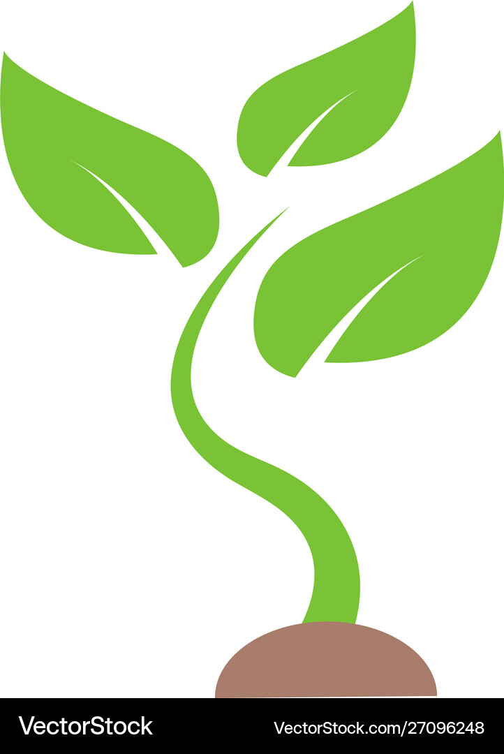 Plant sprout graphic design template isolated Vector Image