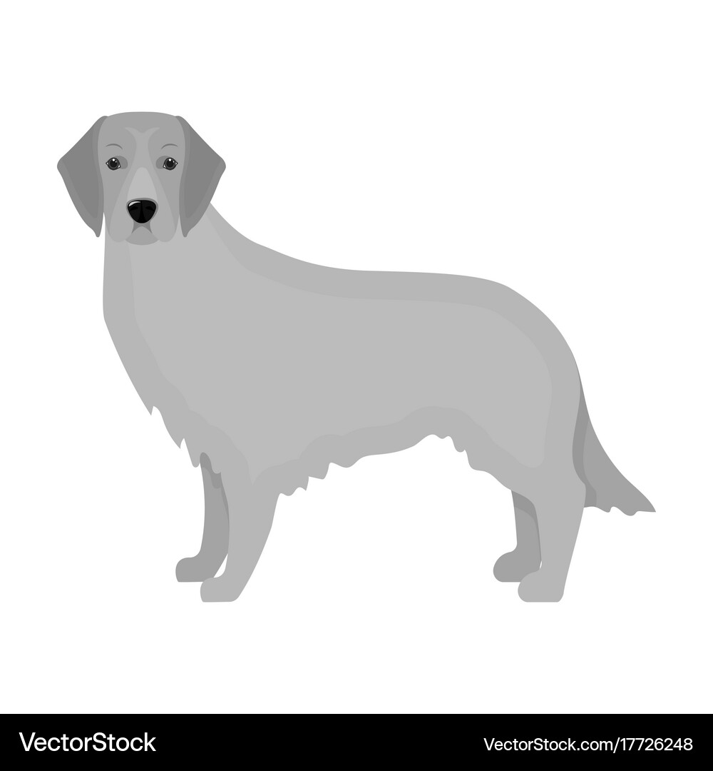 Retriever single icon in monochrome style Vector Image