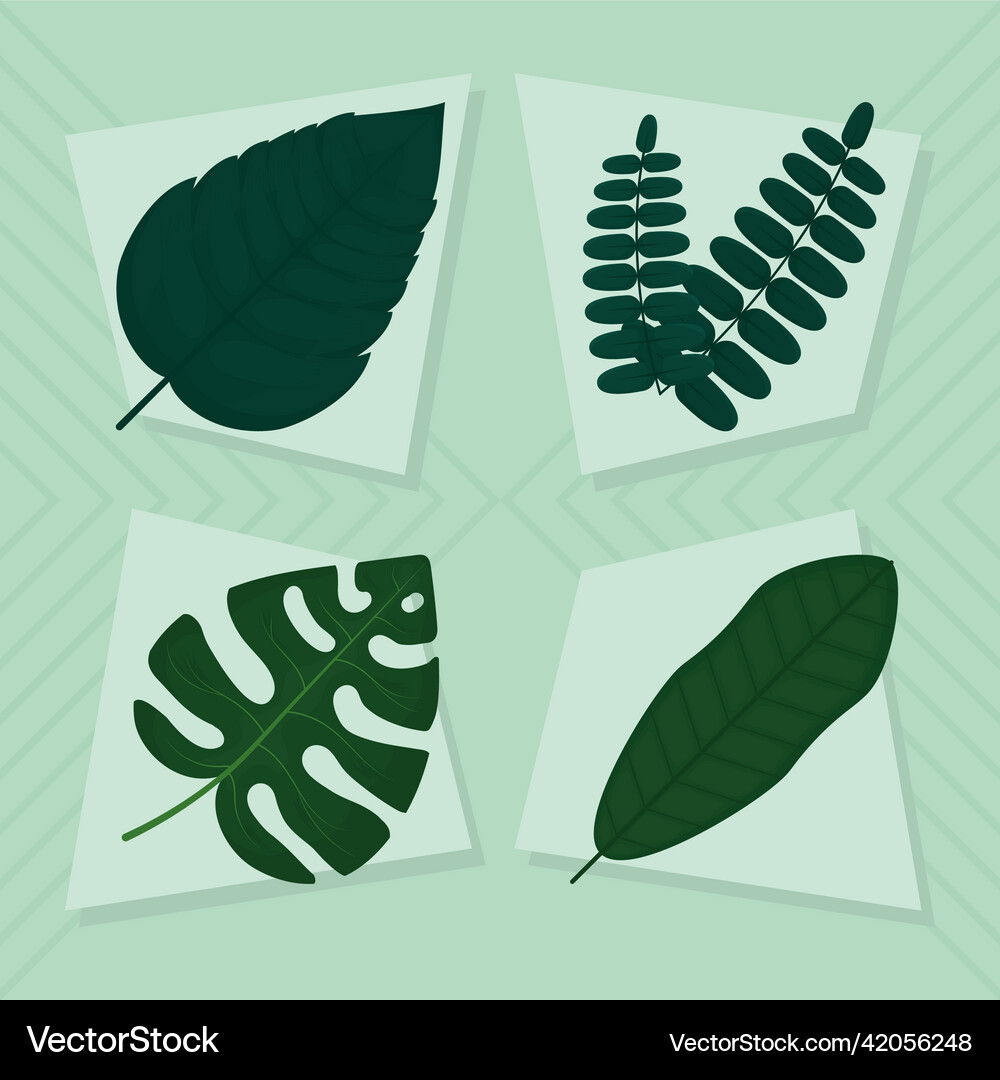 Tropical leaves icon collection Royalty Free Vector Image