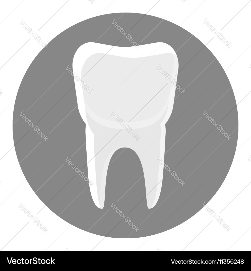 White tooth icon gray monochrome style Royalty Free Vector