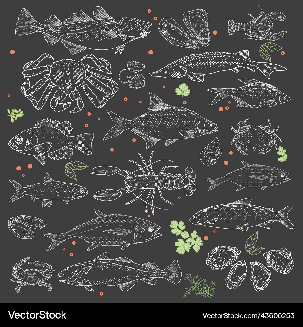 Seafood and fish vintage collection Royalty Free Vector