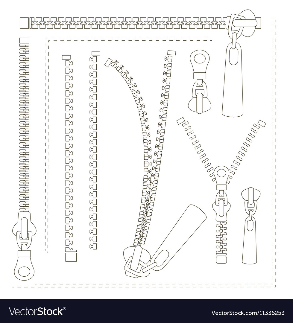 Set of different zippers Royalty Free Vector Image