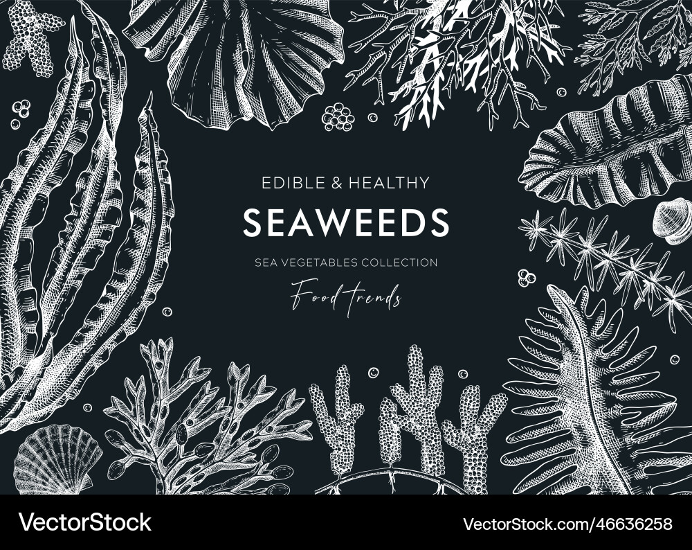 Hand-drawn edible seaweed background Royalty Free Vector