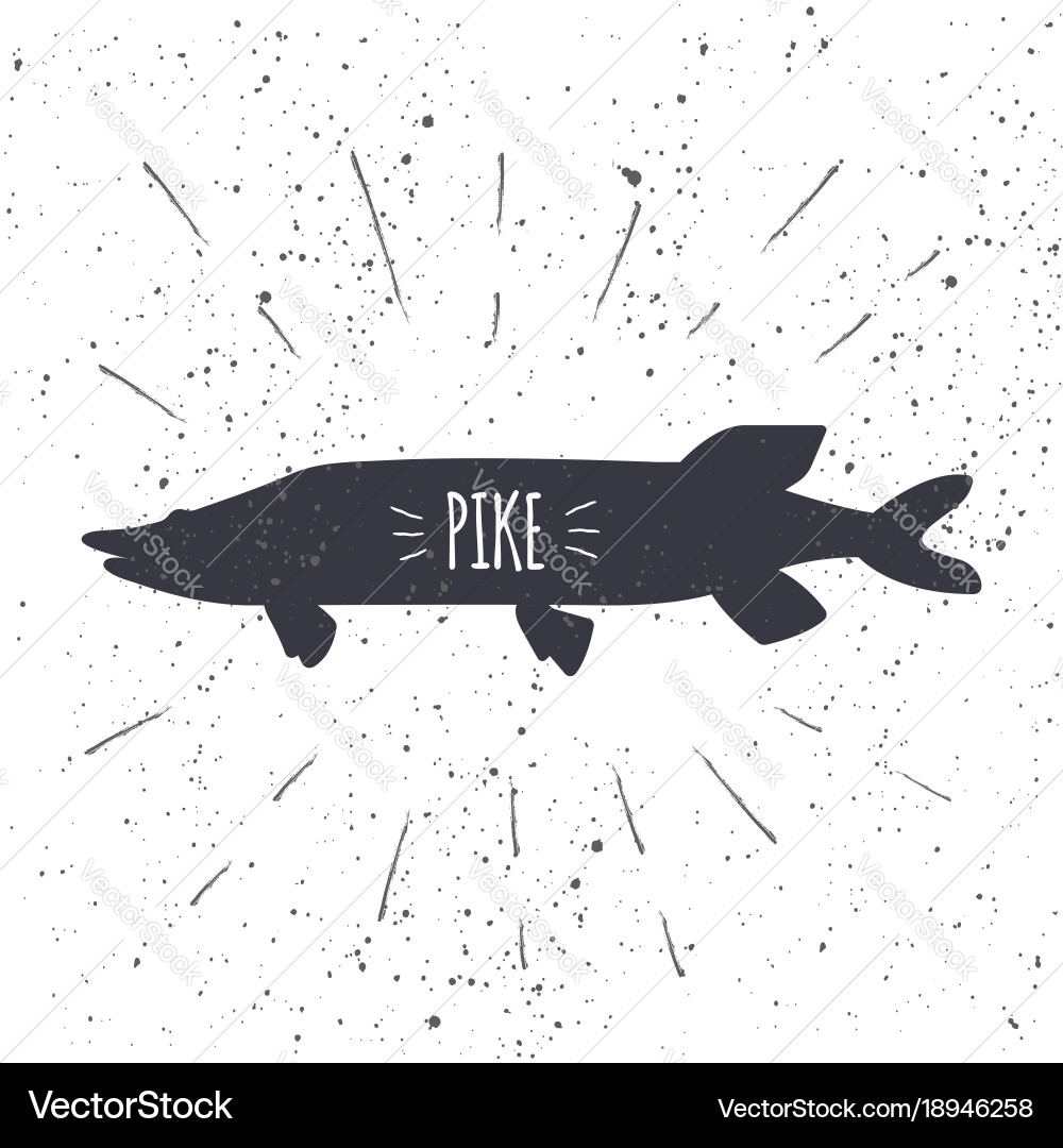 Hand drawn pike icon fish with textured background