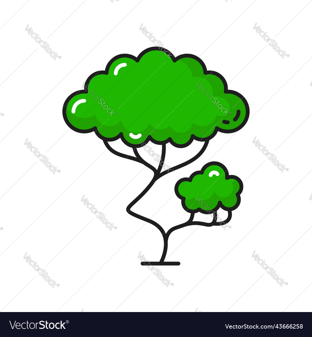 Tree icon of forest green plant and nature symbol Vector Image