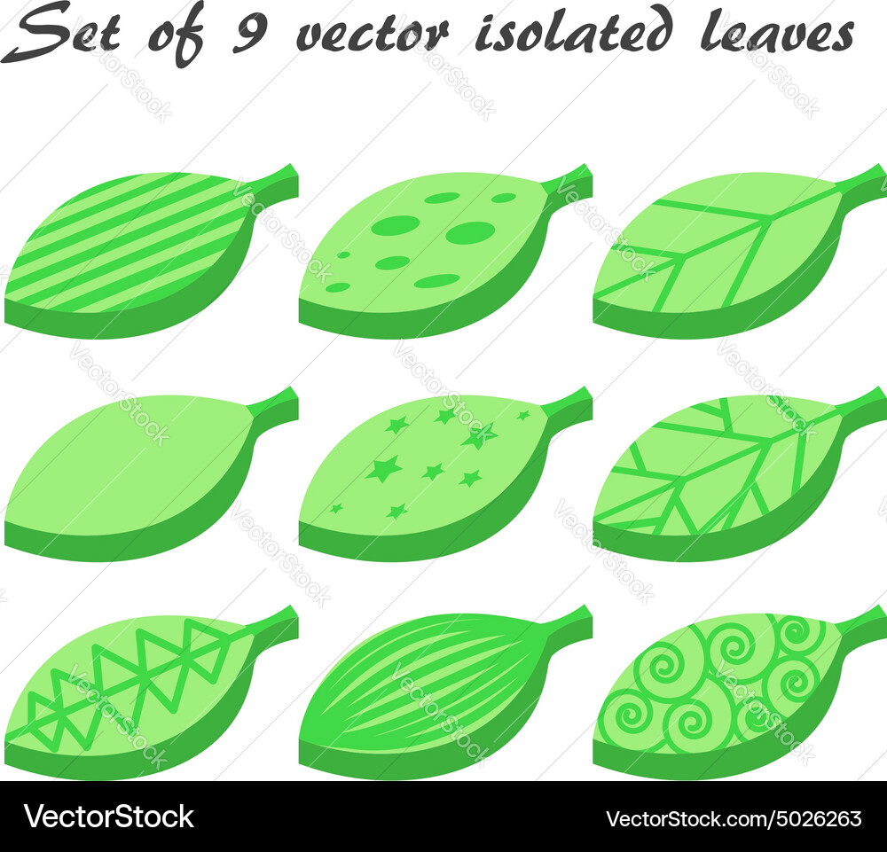 Set of 9 green leaves Royalty Free Vector Image