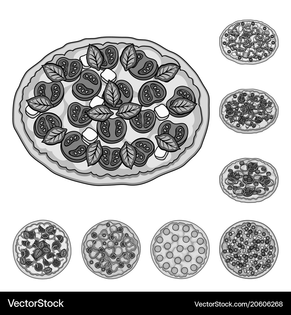 Different pizza monochrome icons in set collection