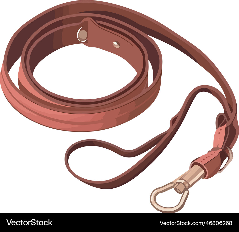 Leather strap tied knot a fashionable accessory Vector Image