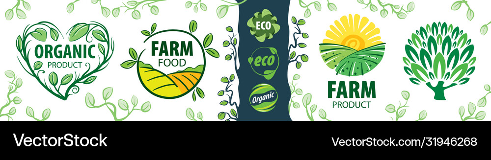 Set icons for natural products Royalty Free Vector Image
