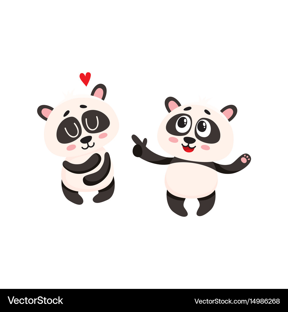 Two baby panda characters one pointing to another Vector Image