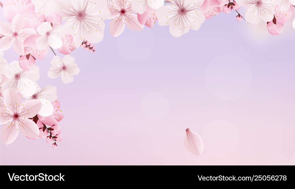 Blossoming light pink sakura flowers Royalty Free Vector