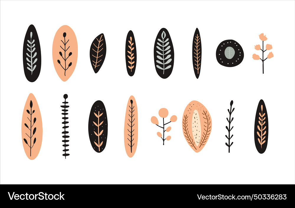 Abstract colorful organic elements and shapes Vector Image