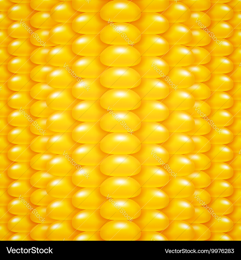 Corn Background
