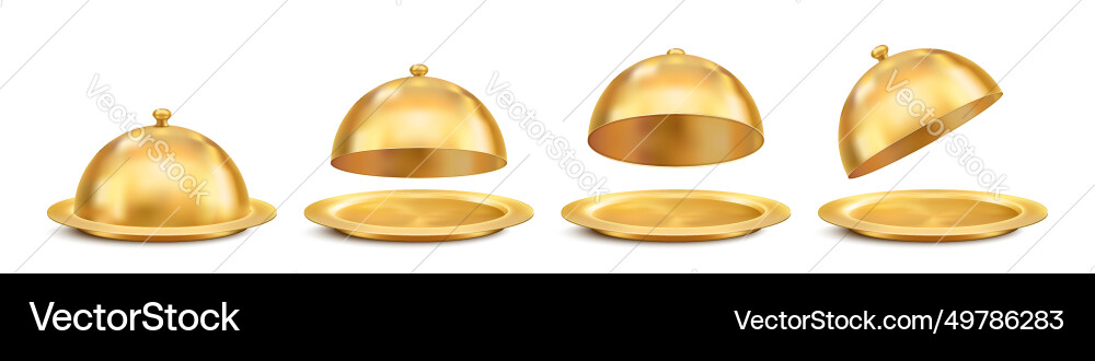 Golden dish tray restaurant realistic dishware Vector Image