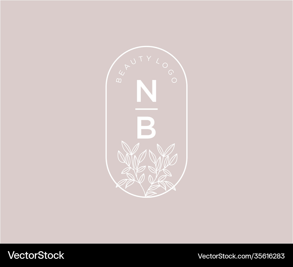 Initial nb letters beautiful floral feminine Vector Image