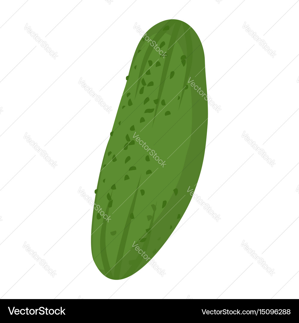 Cucumber isolated green vegetables on white Vector Image