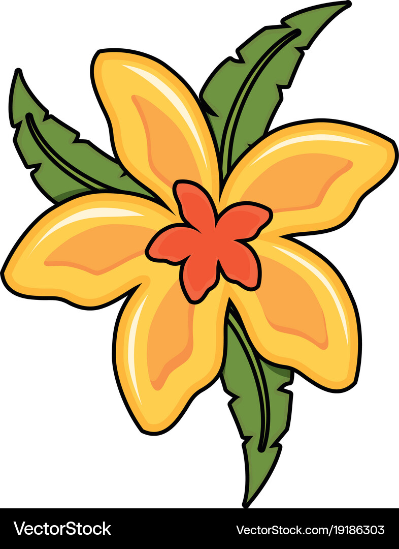 Beautiful tropical flowers design Royalty Free Vector Image
