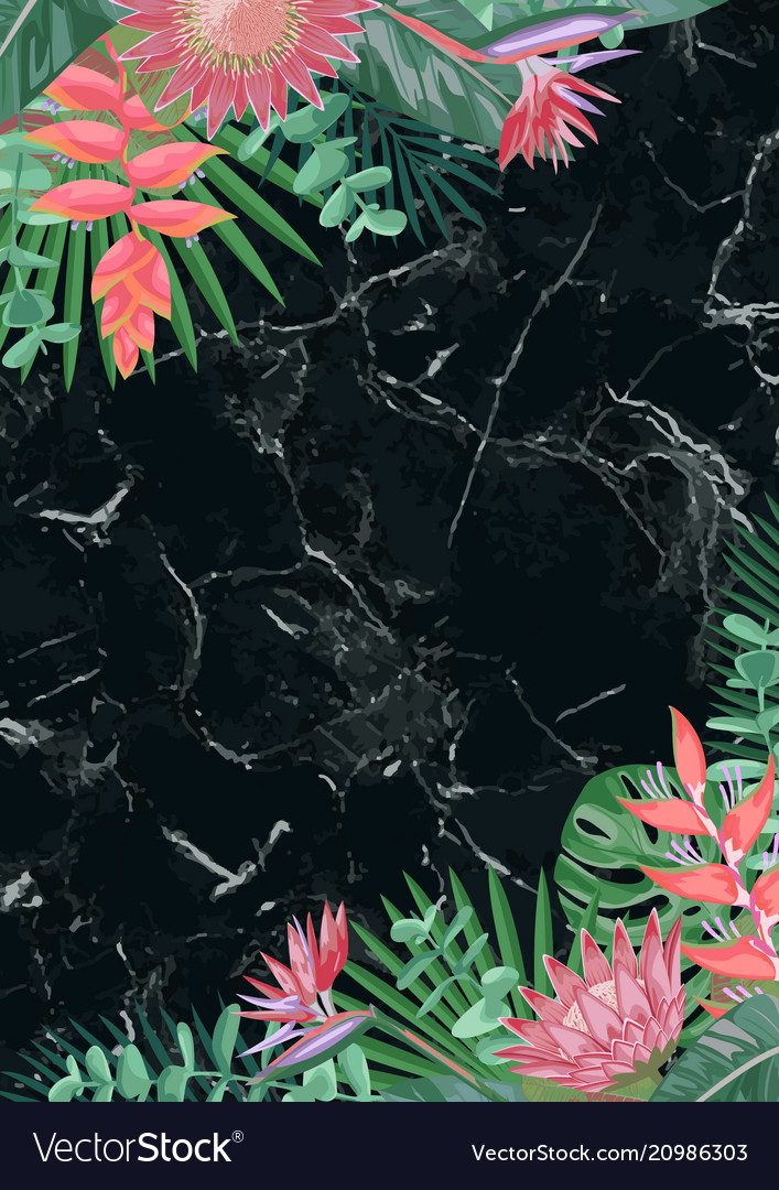 Tropical Floral Angular Background Royalty Free Vector Image