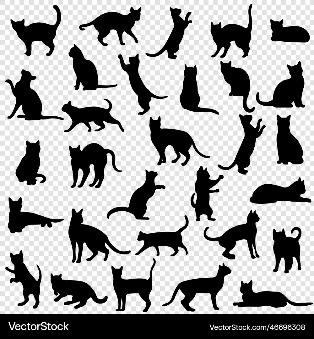Blackcat set isolated transparent background Vector Image