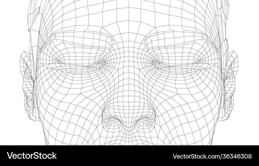 Wireframe portrait a young beautiful girl Vector Image
