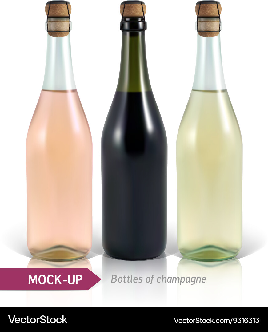 Bottles of champagne Royalty Free Vector Image