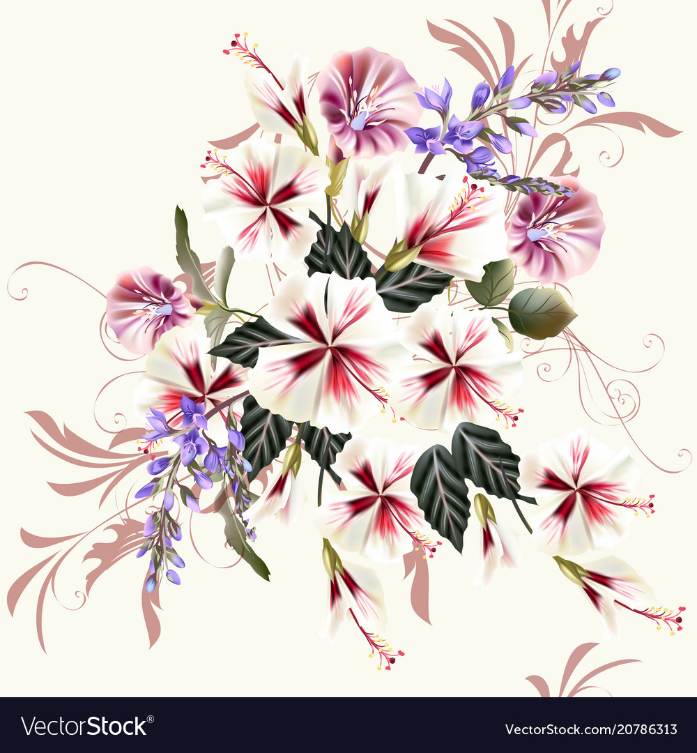 Seamless Background With Hibiscus Flowers Vector Image