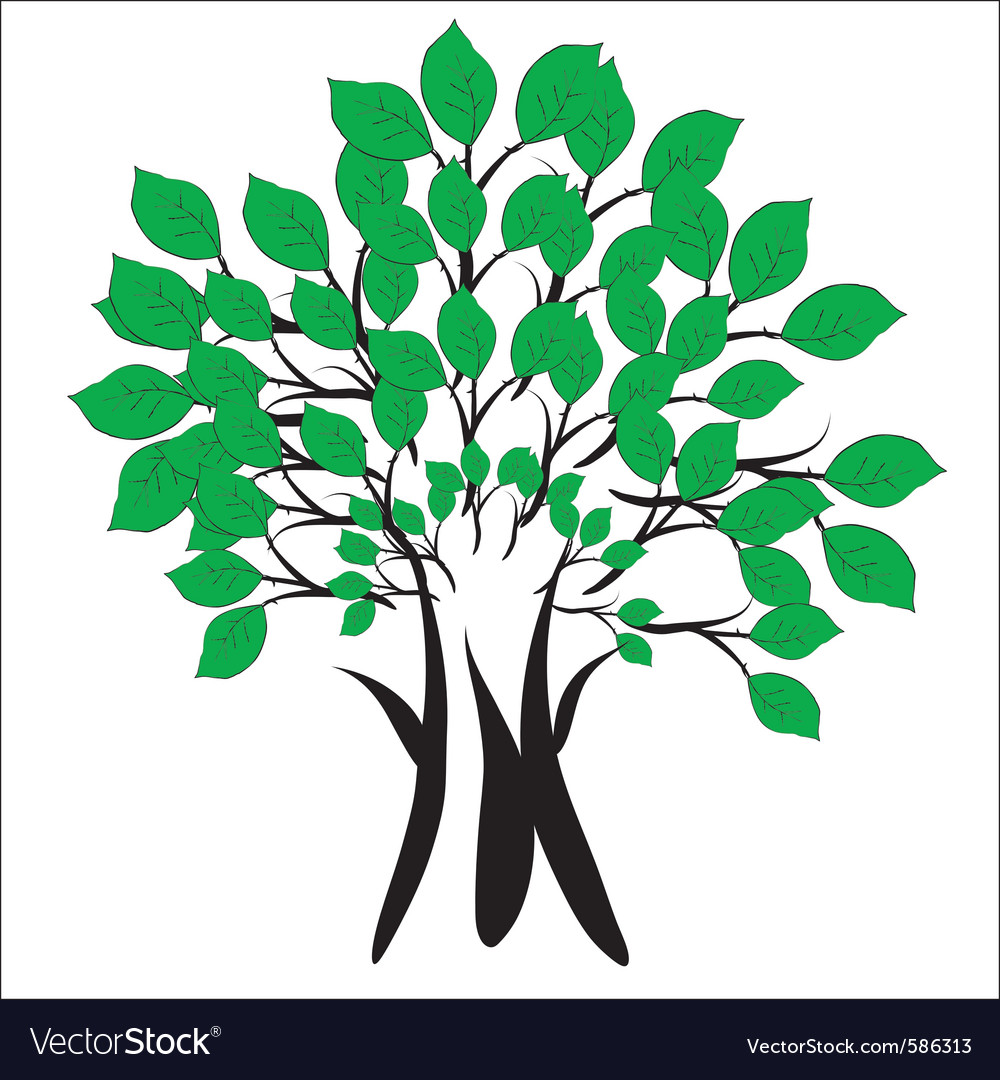 Winter tree Royalty Free Vector Image - VectorStock