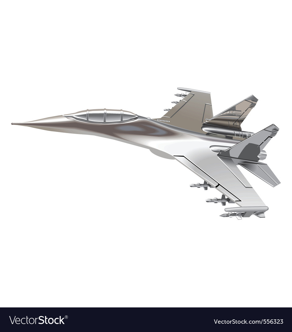 Fighter Royalty Free Vector Image - VectorStock