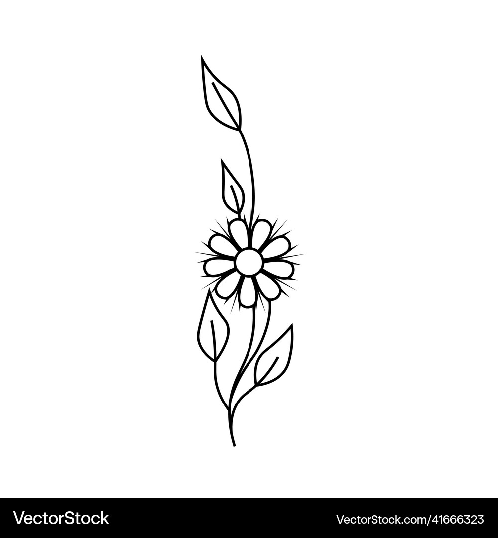 Flower line drawing in outline style Royalty Free Vector