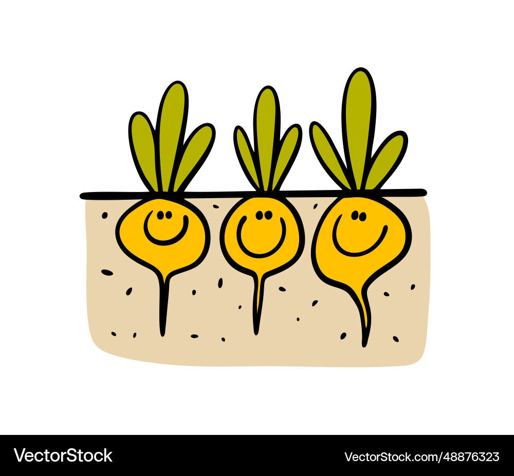 Funny cartoon root vegetables with human face grow