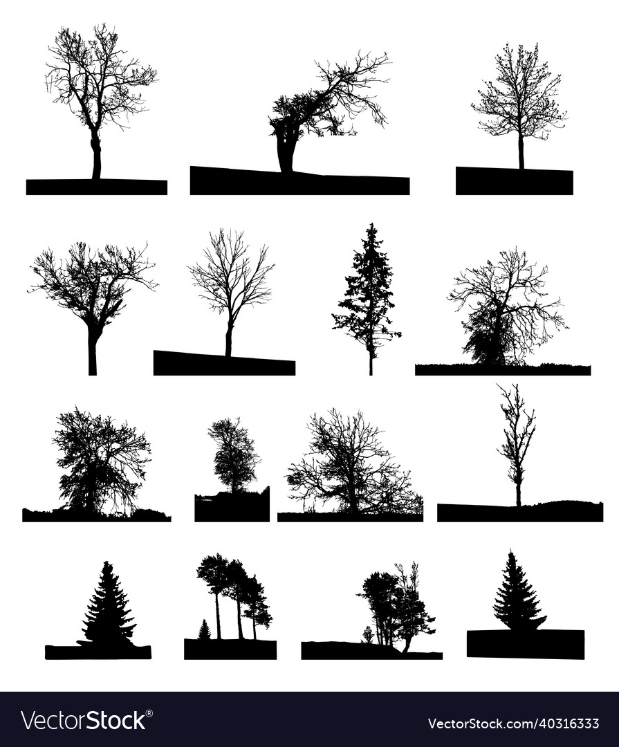 Set of tree isolated on white background Vector Image