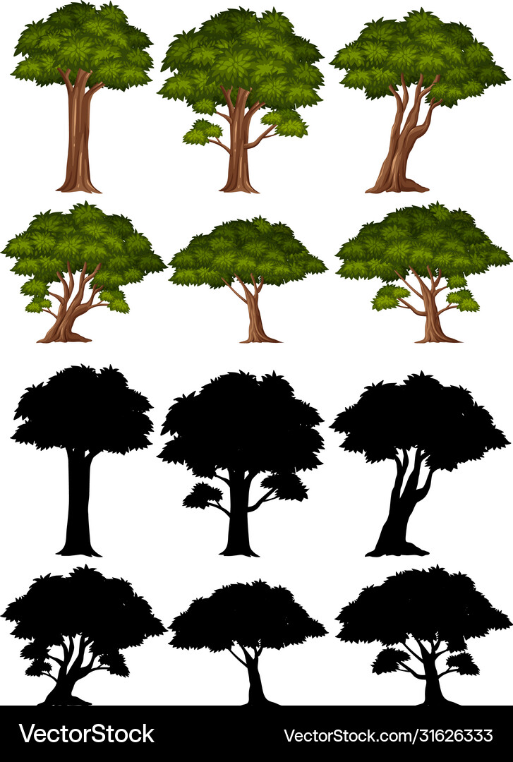 Silhouette pictures big tree on white Royalty Free Vector