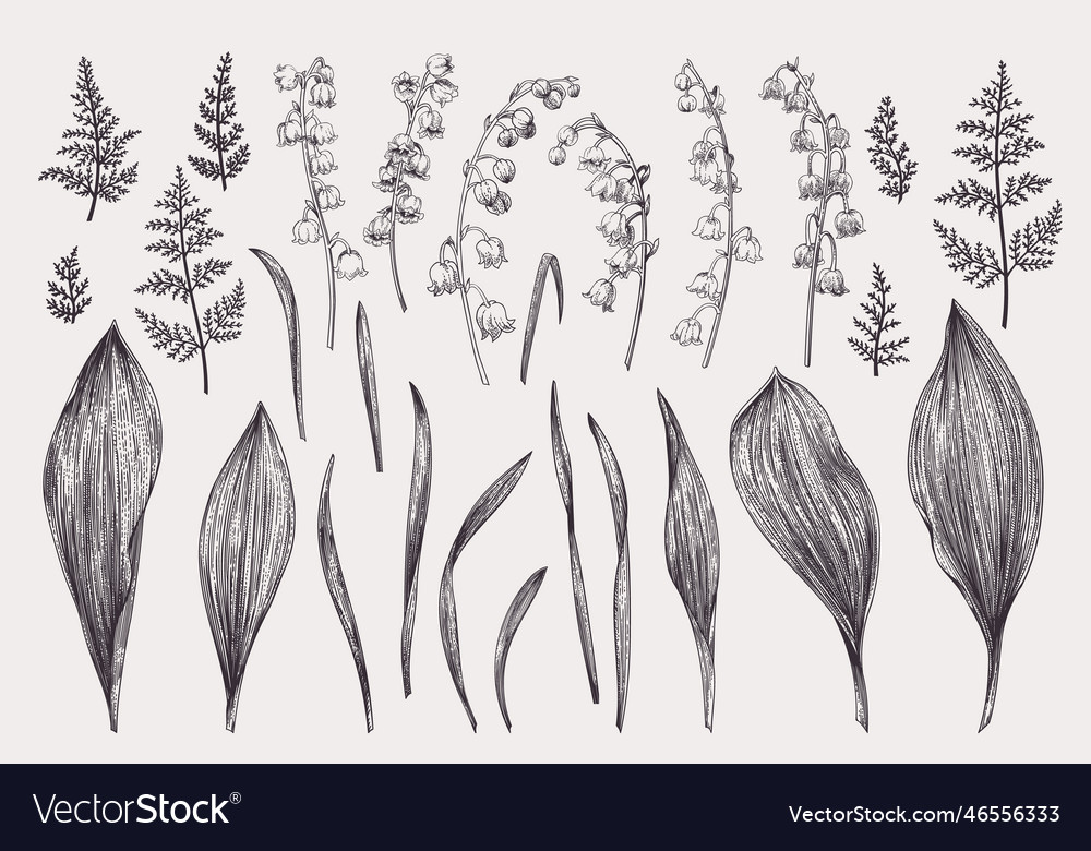 Spring set with lily of the valley flowers Vector Image