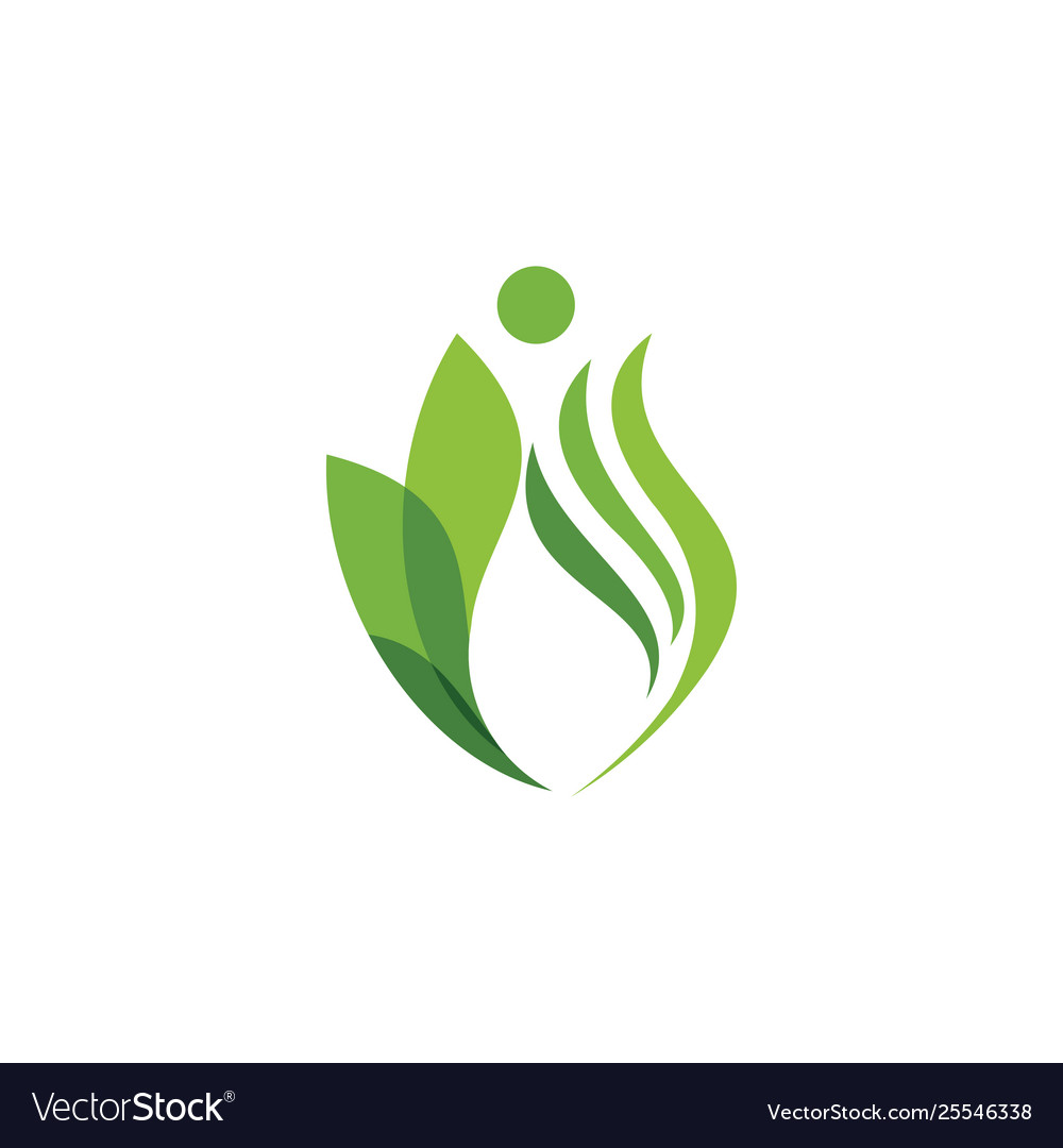 Leaf logo template Royalty Free Vector Image - VectorStock