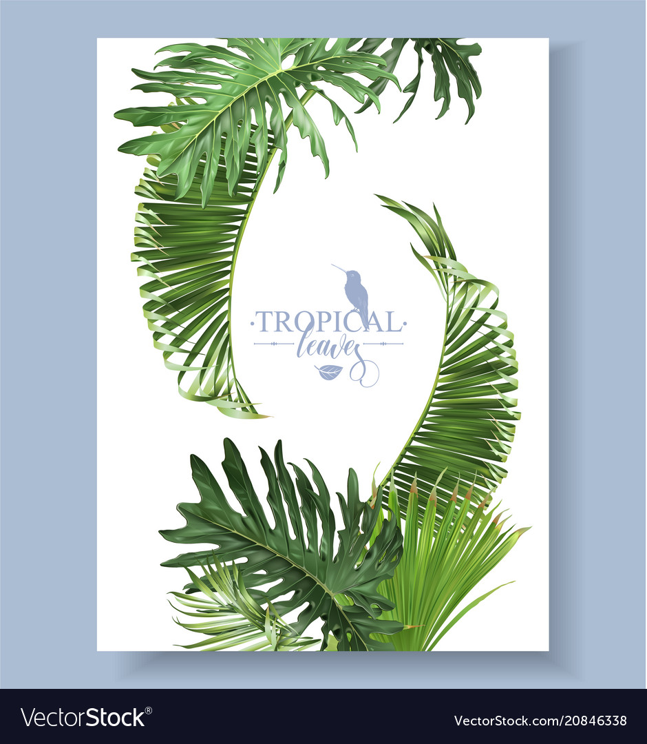 Tropical leaves banner Royalty Free Vector Image