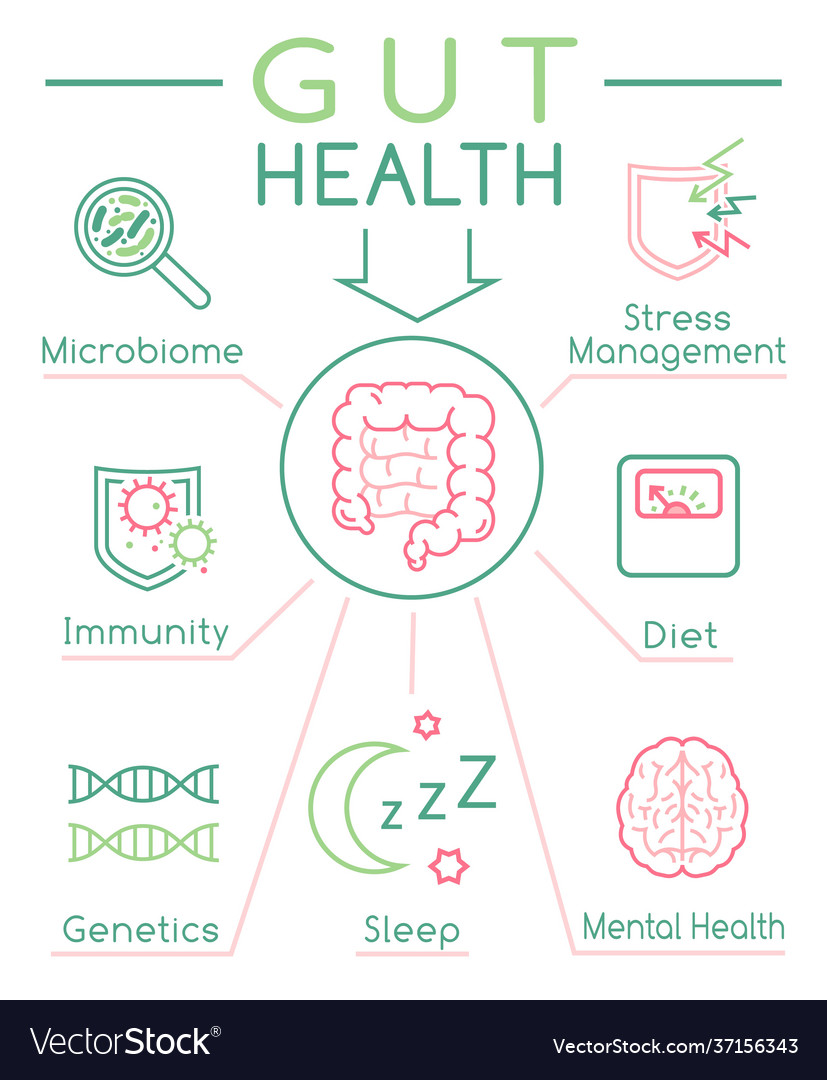 Gut health vertical poster editable Royalty Free Vector