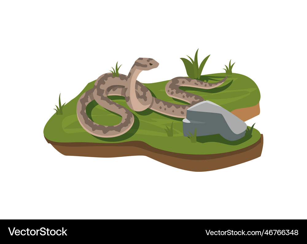 Boa dangerous snake crawls on green meadow flat Vector Image
