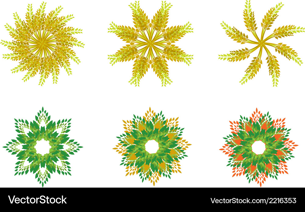 Floral spica symbols Royalty Free Vector Image