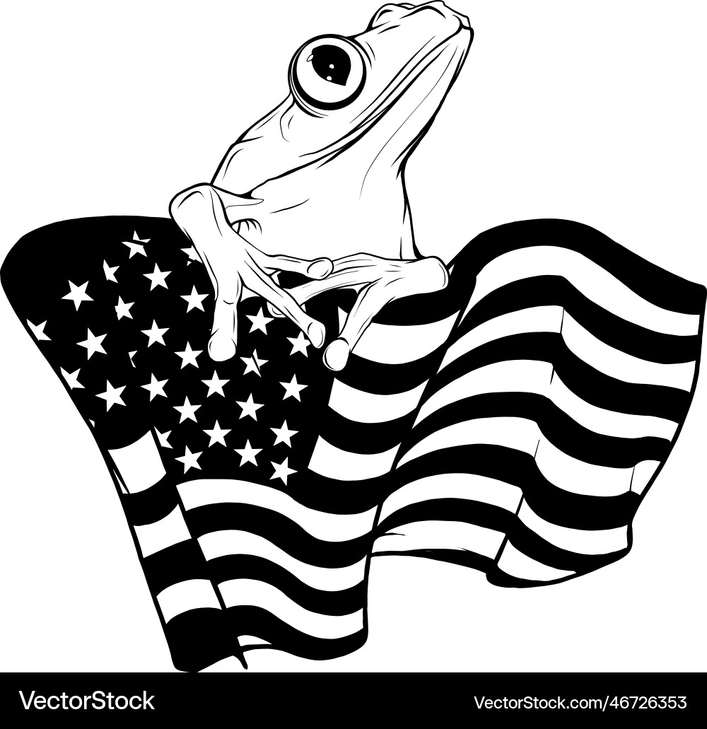Monochrome american flag isolated Royalty Free Vector Image