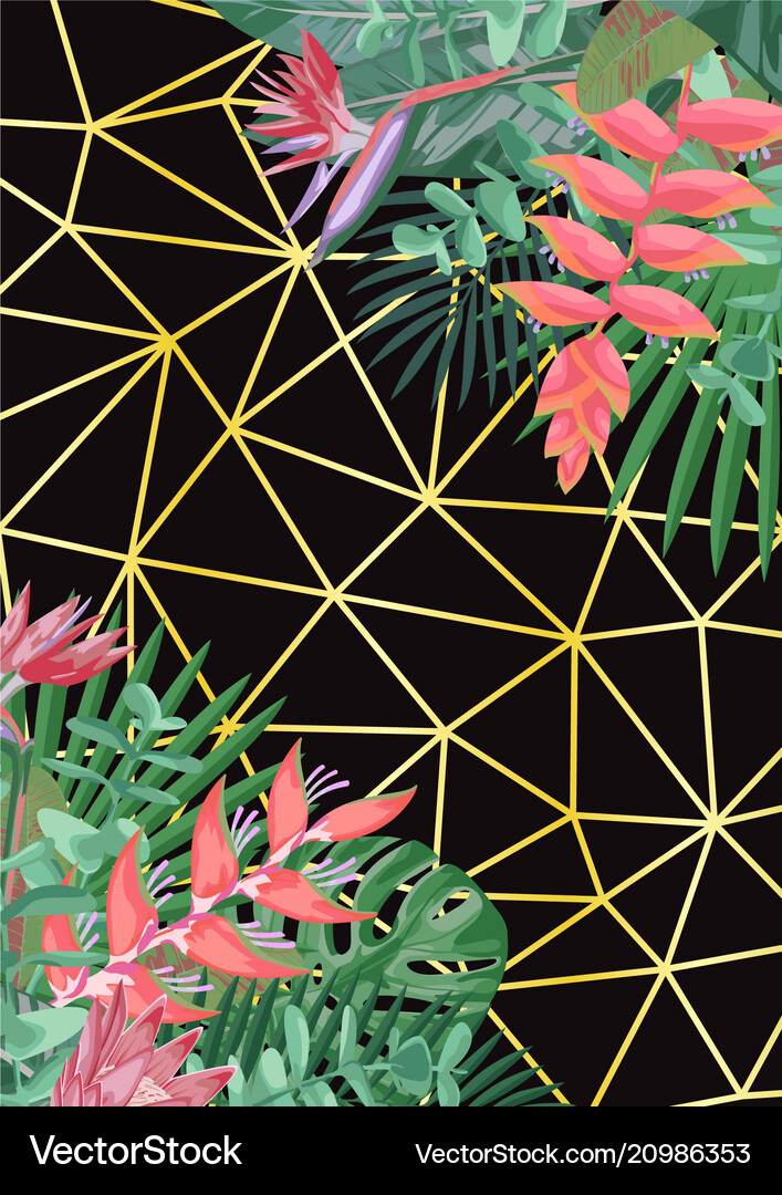Tropical flower and geometric background Vector Image