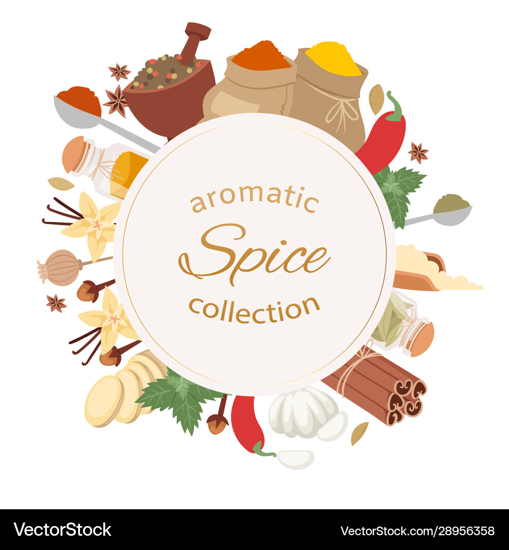 Aromatic spices collection cartoon herbs Vector Image