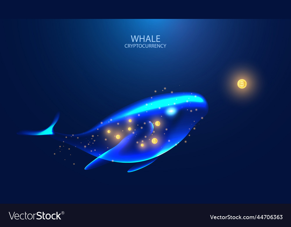 Abstract whale concept cryptocurrency bitcoin Vector Image Abstract whale concept cryptocurrency bitcoin Vector Image