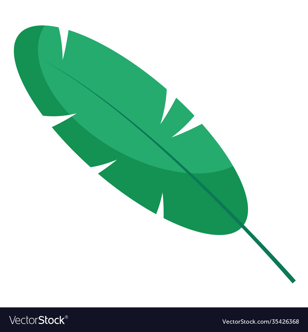 Oblong Leaf Plant Flat Style Icon Royalty Free Vector Image