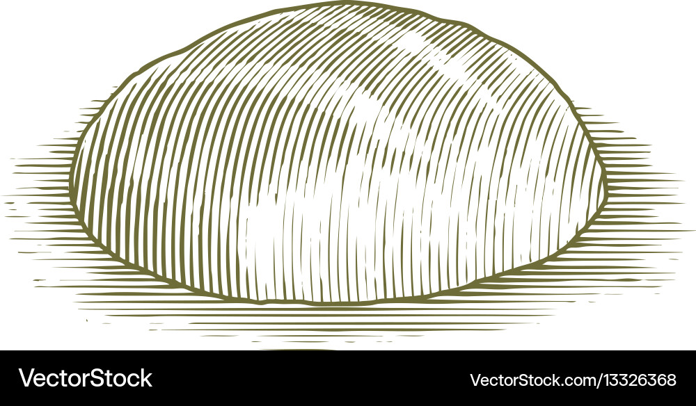 Woodcut sourdough bread loaf Royalty Free Vector Image