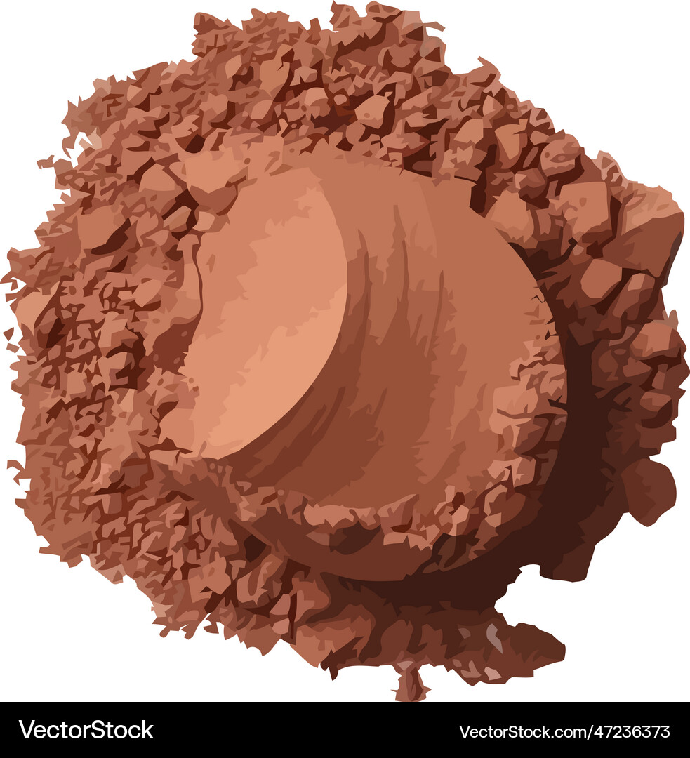Chocolate powder fresh food Royalty Free Vector Image