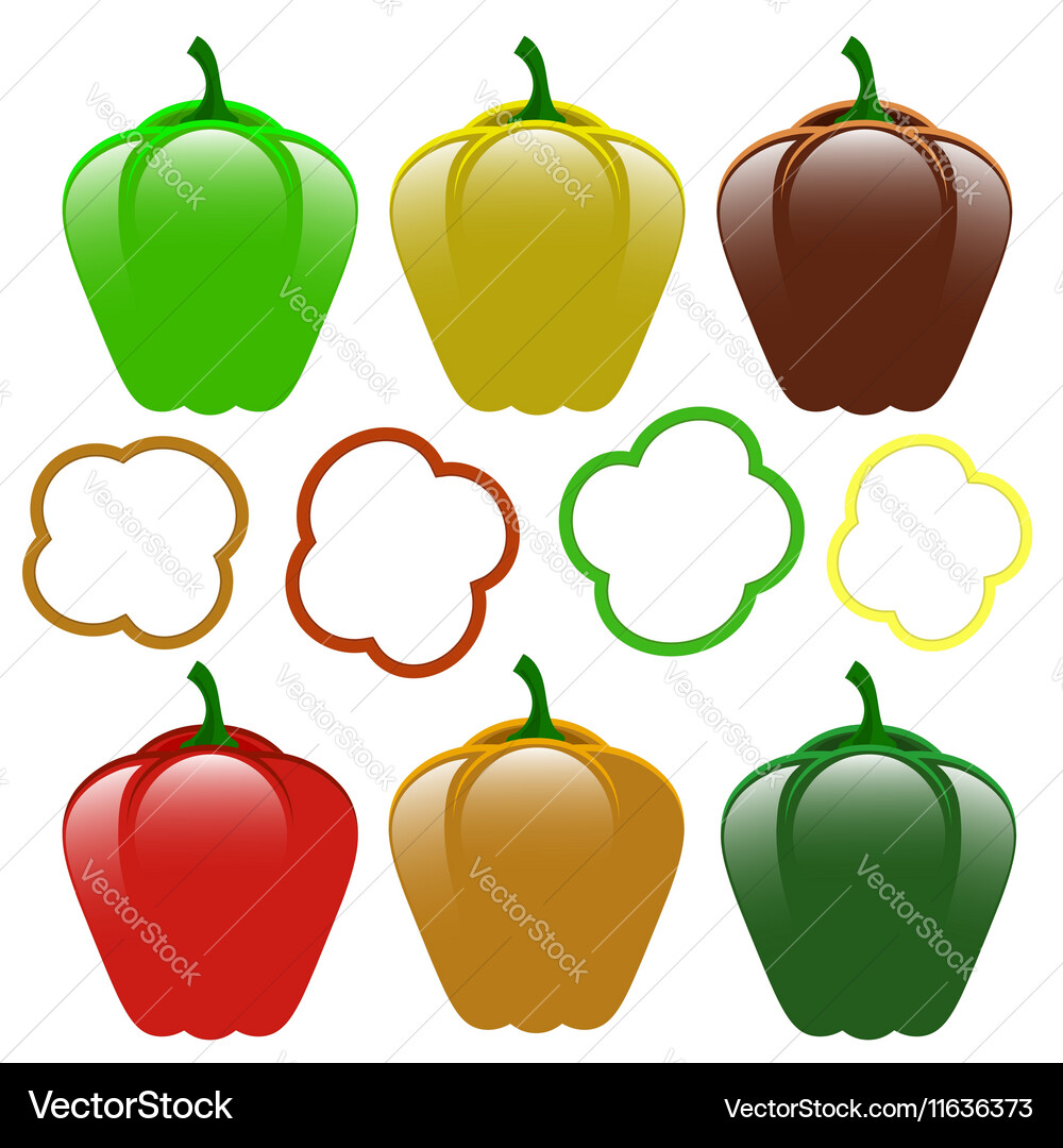 Set of bell peppers Royalty Free Vector Image - VectorStock