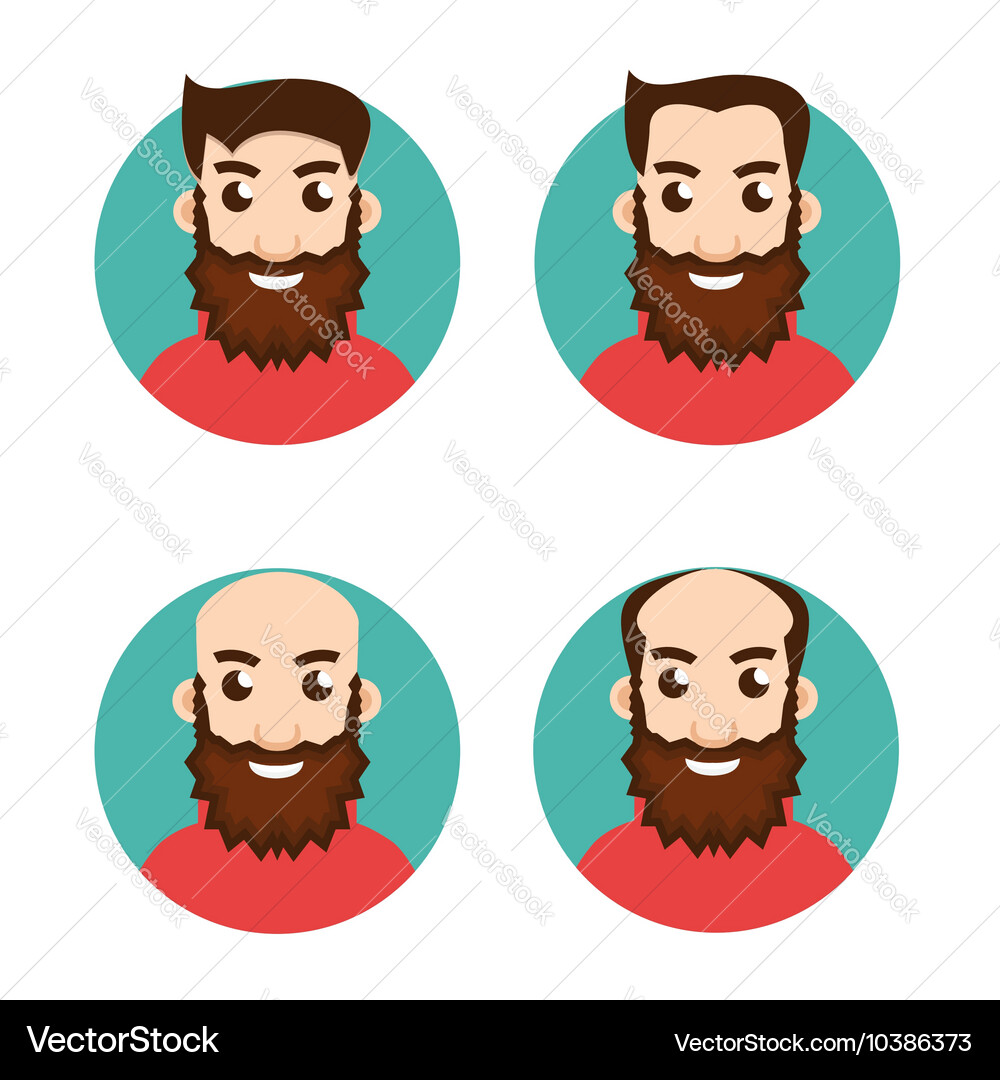 Stages hair loss icon Royalty Free Vector Image