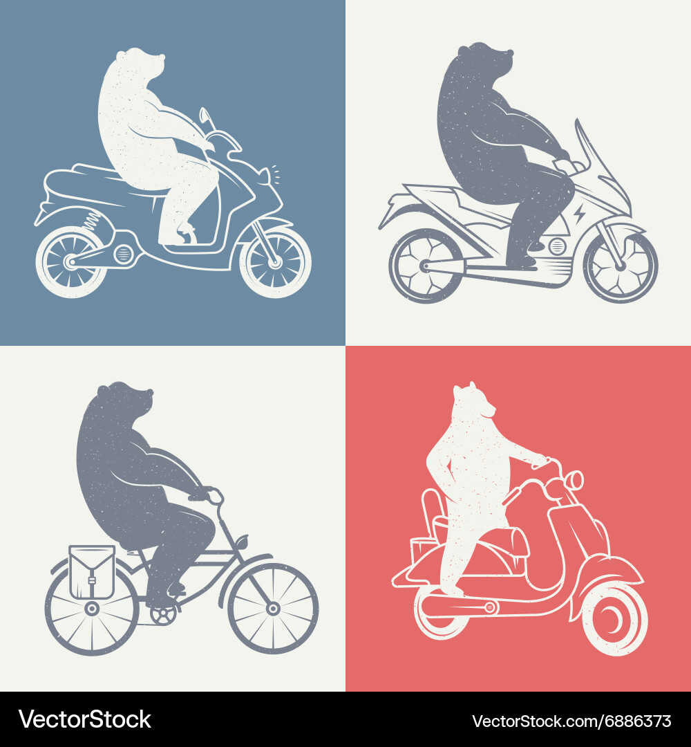 Vintage of bear Royalty Free Vector Image - VectorStock