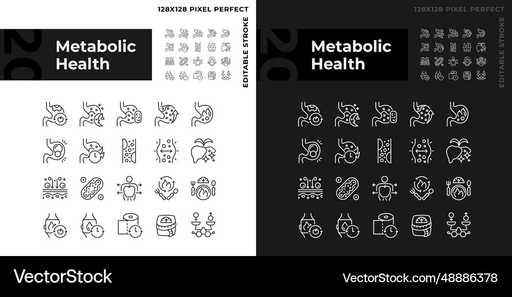 2d customizable light and dark metabolic health Vector Image