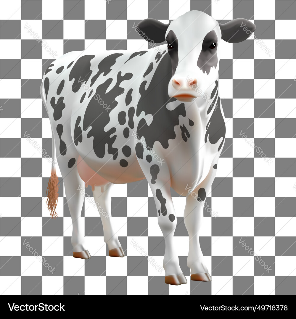 Realistic cow on transparent for your design Vector Image